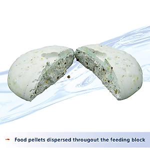 Aqueon Vacation Feeders 7 Day - 1 Pack