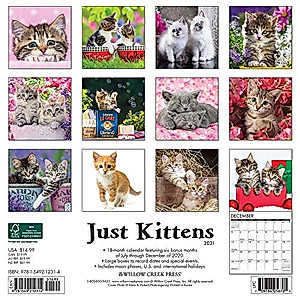 Just Kittens 2021 Wall Calendar