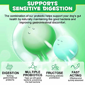 Probiotics Chews for Dogs - Pre & Probiotic Digestive Treats for Dog, Support Gut Health, Seasonal Allergies, Itchy Skin, Dog Supplement Soft Chews for Pet Immune System for Dogs - 120pc/Duck Flavor