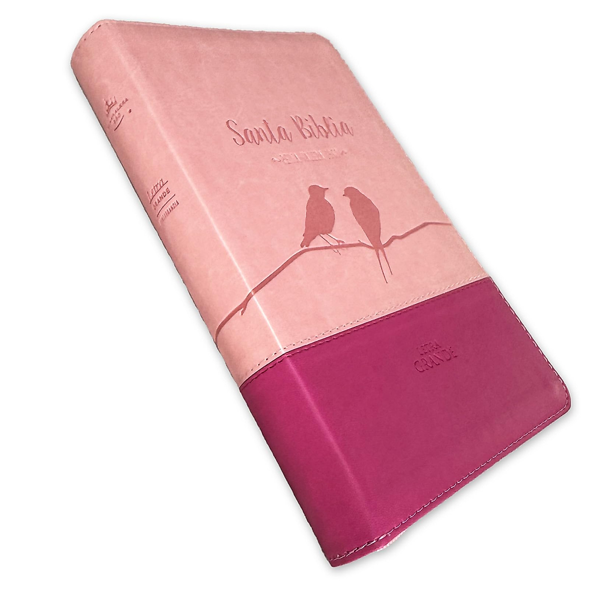 Biblia para Mujeres con Cierre Letra Grande 12 puntos RV1960 rosado con indice - Concordancia y Palabras de Jesus en rojo