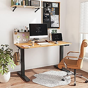 BANTI Dual Motor Adjustable Height Standing Desk, Electric Sit Stand Desk with Screen Panel, 48 x 24 Inches Stand up Desk, Home Office Desk with Rubberwood Top and Black Frame B-SDE-SP48BO-D