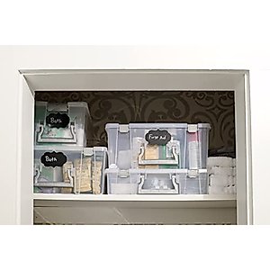 AB Designs 6990ABD Super Satchel Double Deep with Removable Dividers, Stackable Home Storage Organization Container, Clear with Sliver Latches and Handle
