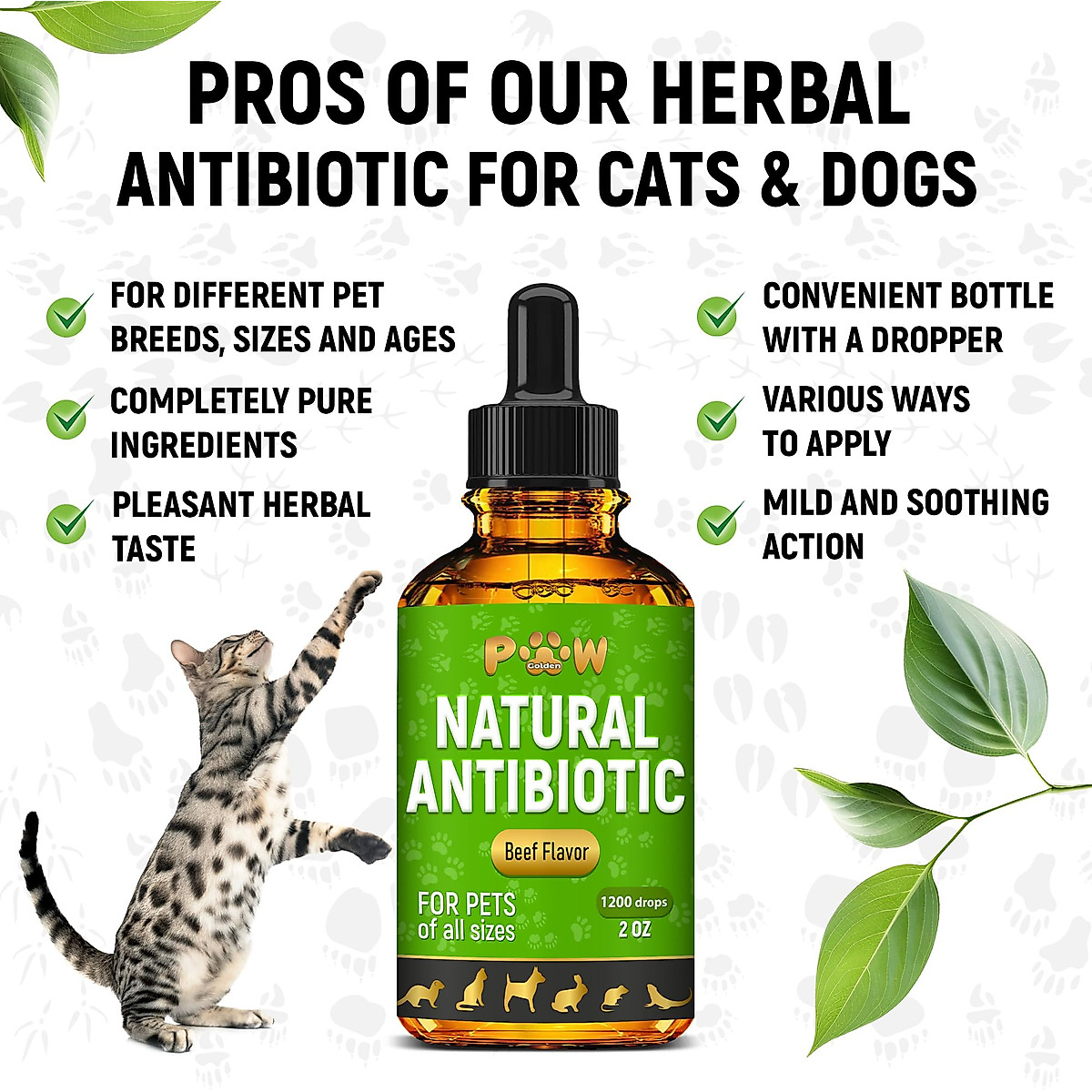 Antibiotic for Cats | Natural Antibiotics for Dogs | Cat Antibiotics | Dog Antibiotic | Antibiotic for Dogs | Natural Antibiotics for Cats | Natural Dietary Supplement Pet Antibiotic | Beef | 2 Oz