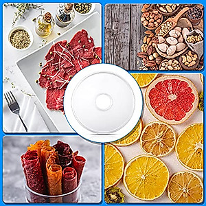 Fruit Roll Dehydrator Sheets Round Food Grade Plastic Fruit Roll Sheets White Fruit Roll Dried Fruit Leather Meat Beef Christmas Birthday Party Home Kitchen Bakery Use, 12.2 Inch (4 Pieces)