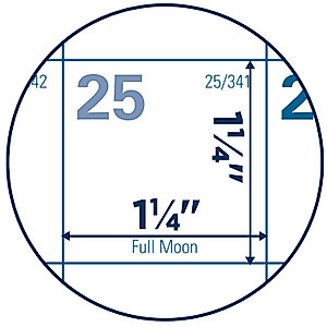 AT-A-GLANCE 2024 Erasable Calendar, Dry Erase Wall Planner, 36" x 24", Large, Horizontal, Reversible for Planning Space" (PM2002824)