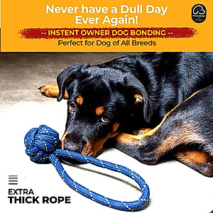 Dog Rope Chew Toy, 3 Pack, Contains 3.5 Knot Rope With Pulling Handle, Ball & Dumbbell Rope, Cotton Poly Mix Puppy Teething Chew Tug Toy for Small Medium Large Dogs, Tug of War Dog Toy, Dog Pull Toy