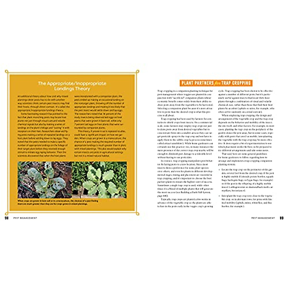 Plant Partners: Science-Based Companion Planting Strategies for the Vegetable Garden