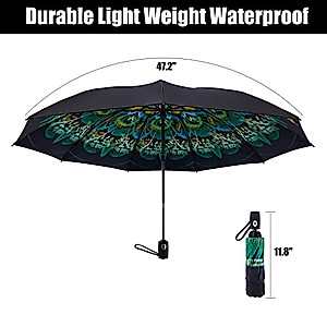ElifeAcc Windproof Travel Umbrella, Golf Rain Umbrellas for Men & Women - UMBRELLAS Spectrum Popular Style for Travel, Camping, Hiking, Backpacking, Fishing and Other Outdoor Activities