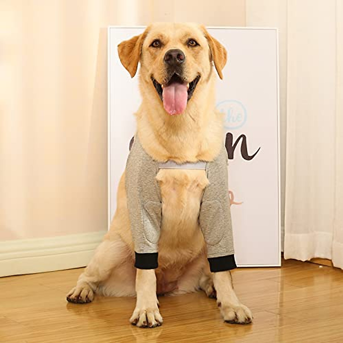 ROZKITCH Dog Surgery Recovery Sleeve for Front Legs, Pet Prevent Licking Wound Elbow Brace Protector, Dog Recovery Suit Cone Collar Alternative for Sprain ACL CCL Arthritis Grey 2XL
