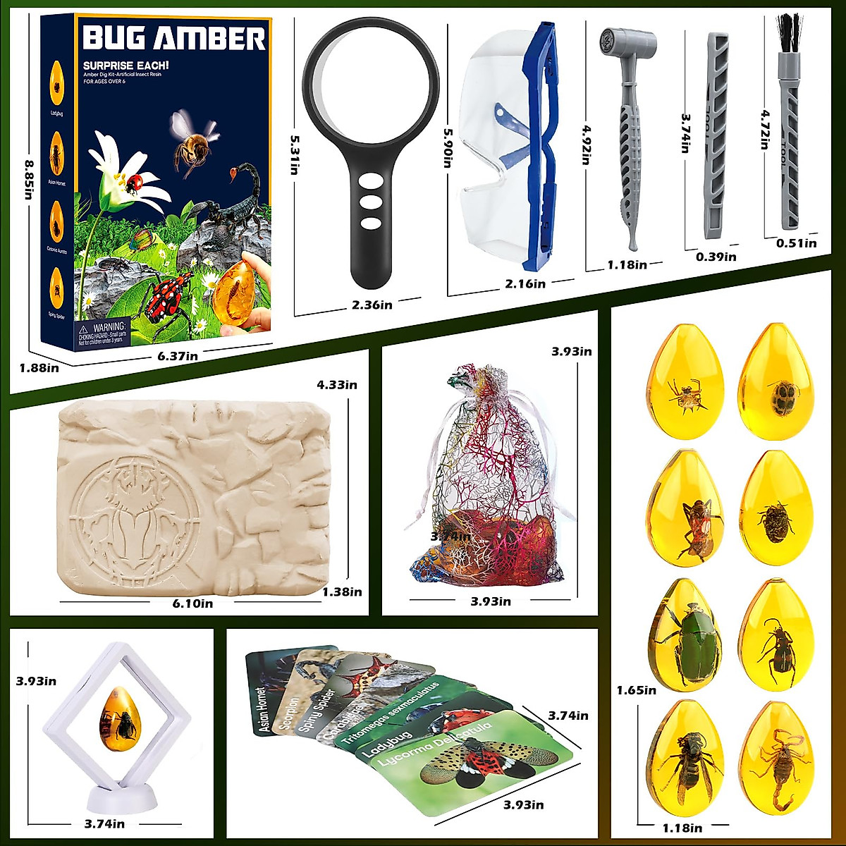 Amber Dig Kit - Insects in Resin, 8 Insects Specimens Excavation Kit, Geographic Bug Toys for Kids, Educational Science Kits for Bugs Collection, STEM Toys for Boys & Girls Age 6 and up Birthday Gift