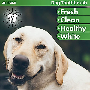 Teleyi Dog Toothbrush Kit,4-Piece Set with Toothpaste Fingerbrush,Cat Teeth Cleaning,Pet Oral Dental Care Fresh Breath Brush,Cute Puppy Whitening Cleansing for Small Large Dogs,Beef Flavor