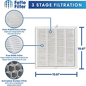 Fette Filter - E-300L True HEPA H13 Replacement Filter Compatible with MOOKA and MOOKA FAMILY E-300L Air Purifiers - Pack of 2