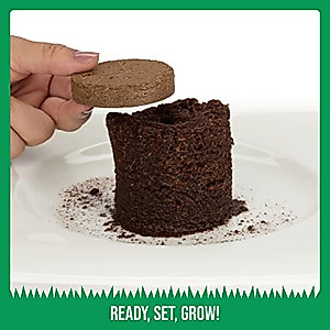 Organic Soil for Indoor/Outdoor Plants, Expands to Fit 3 Inch and 4 Inch Pots - 6 Pack