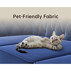 Morden Fort Classic Chesterfield Loveseat Set 60'', Tufted Loveseat Sofa Set with Solid Wood Legs Thick Cushion, Pet-Friendly 2-Seater Sofa Couch for Living Room Bedroom Apartment - Velvet Blue