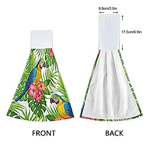 DJYQBFA Floral Bird Macaw Parrot Kitchen Towels Absorbent Hanging Kitchen Towels with Loop Set 2 Pcs Hanging Kitchen Towels for Bathroom Laundry Room Decor