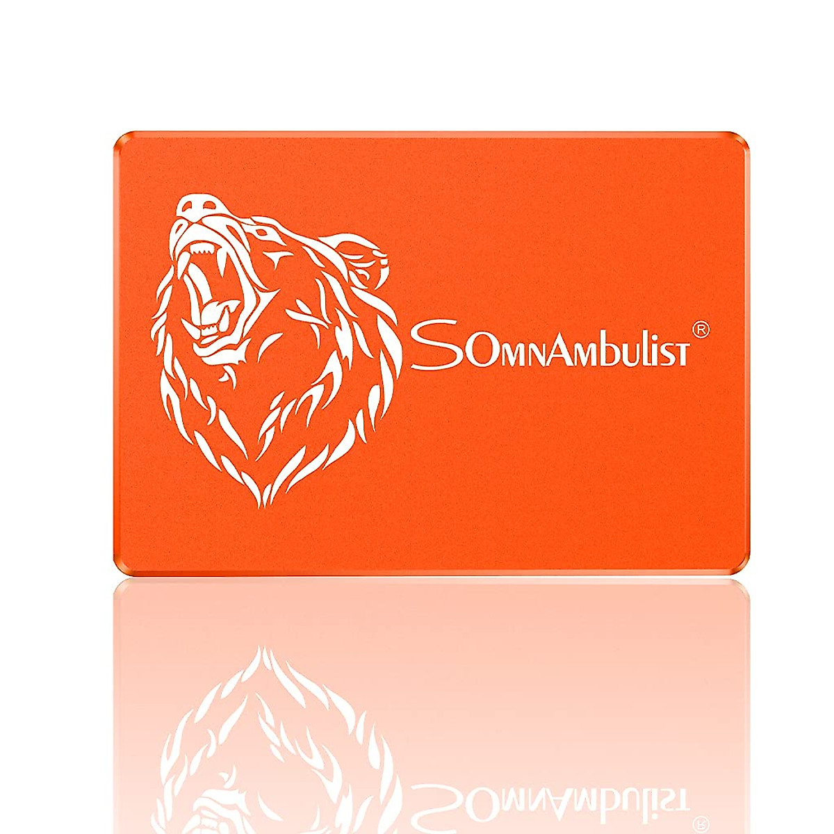 Somnambulist sata3 ssd 120gb 240gb 480gb 960gb 2.5 inch Hard Drive sata3 HDD ssd Laptop 2tb Solid State dr (Orange Bear 960GB)