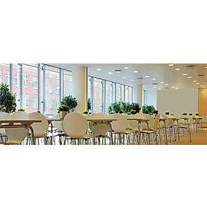 Satco S29402 6.5 Watt 120 Volt PAR20 LED Light Bulb; 3500K Neutral White Light; 25 deg. Beam Angle; E26 Medium Base; Dimmable (6 LED Light Bulbs)