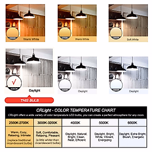 CRLight 2W 4000K LED Candelabra Bulb Daylight White 30W Equivalent 300LM, E12 Base Dimmable LED Chandelier Filament Light Bulbs, Antique Style B10 Clear Glass Candle Torpedo Tip, 12 Pack
