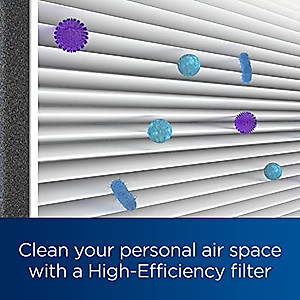 Brother DF-2 High-Efficiency Filter Replacement Model Number FH221, Black