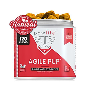 pawlife Arthritis Dog Joint Chews| Glucosamine, Chondroitin, Omega-3| MSM Support for Healthy Joints| 120ct Veterinarian Formulated Soft Chews| Up to 4-Month Supply