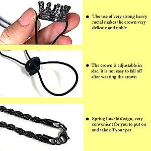 SEIS 2 Pcs Bearded Dragon Crown and Necklace Metal Lizard Outfit Halloween Small Animal Clothes Harness for Chameleon Gecko Anole Iguana Amphibians (Black)