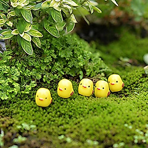 Mini Animals Chickens Miniature Figurines Mini Chickens Model Fairy Garden Miniature Moss Landscape DIY Terrarium Crafts Ornament Accessories for Home Decoration, Set of 30