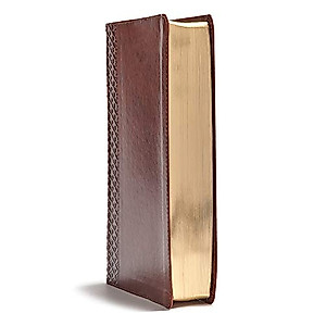 CSB Everyday Study Bible, British Tan LeatherTouch, Black Letter, Study Notes, Illustrations, Aricles, Easy-to-Carry, Easy-to-Read Bible Serif Type