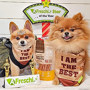 Afreschi Turkey Tendon for Dogs, Dog Treats for Soft Series, All Natural Human Grade Dog Treat, Suitable for Training chew, Ingredient Sourced from USA, Rawhide Alternative, Soft Strip