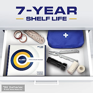 Allmax 9V Maximum Power Alkaline Batteries (48 Count) – Ultra Long-Lasting, 7-Year Shelf Life, Leakproof Design, Superior Performance