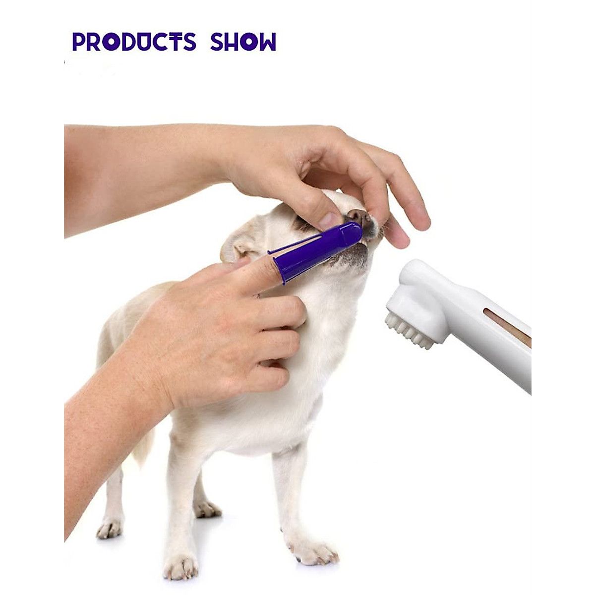 Teleyi Dog Toothbrush Kit,4-Piece Set with Toothpaste Fingerbrush,Cat Teeth Cleaning,Pet Oral Dental Care Fresh Breath Brush,Cute Puppy Whitening Cleansing for Small Large Dogs,Beef Flavor