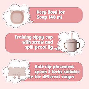 Shandra Silicone Baby Feeding Set (12 pcs) - Baby Led Weaning Supplies - Baby Feeding Accessories - Suction Divided Plate, Plates and Bowls, Sippy Cup Straw & Lid, Bibs, Spoons, Forks (Pink)