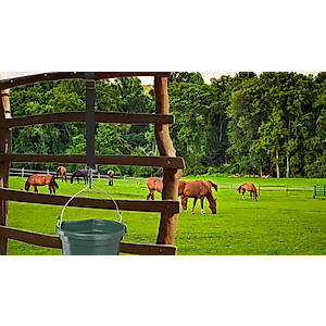 Loaged Adjustable Nylon Bucket Strap （5 Pack）- for Hay Nets, Water Buckets, Hanging Strap,Horse Outdoor Feeders,Heavy Duty Horse Water Feed, 30"