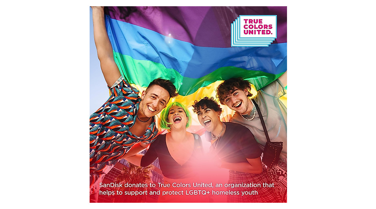 SanDisk 128GB Ultra Dual Drive Go USB Type-C Flash Drive, Rainbow Pride ...