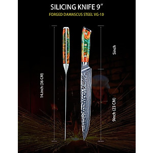 SANMUZUO 9 Inch Carving Knife, Slicing Knife - Hammered Damascus Steel & Resin Handle - Yao Series