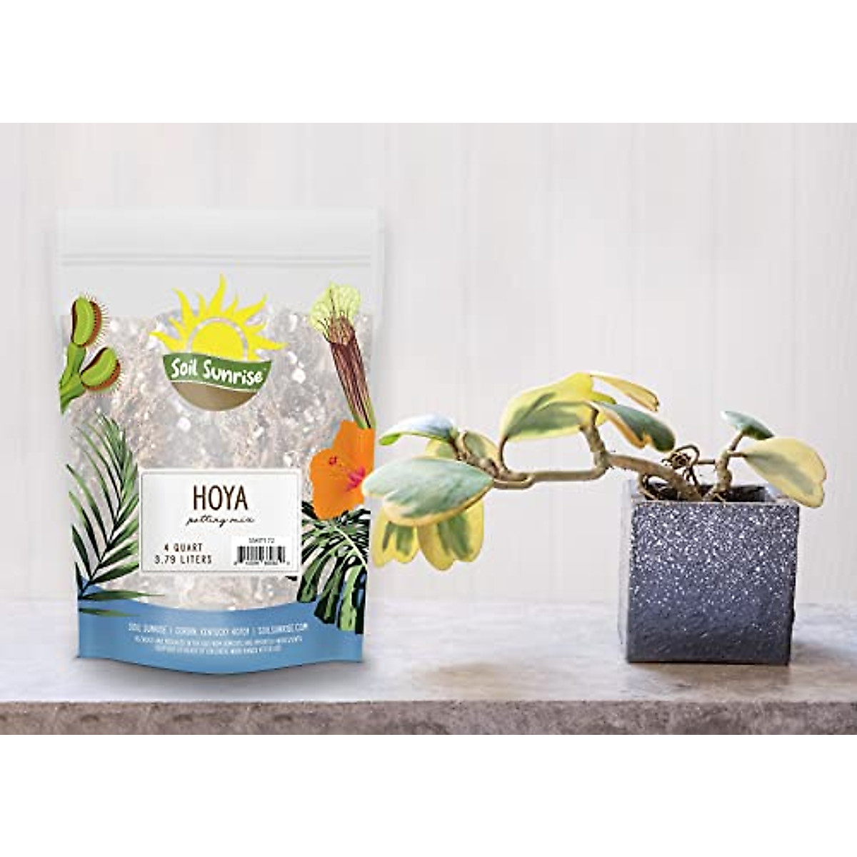 Hoya Plant Potting Soil Mix (4 Quarts), Custom Blend for Growing Hoya Tropical Houseplants
