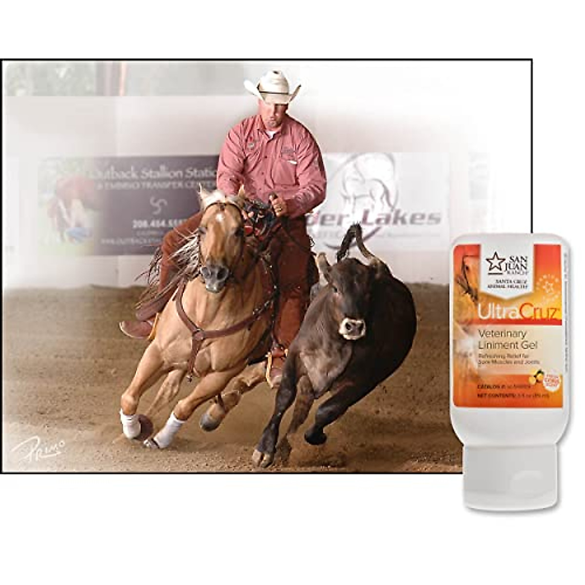 UltraCruz - sc-516109 Veterinary Liniment Gel for Horses, 3 oz
