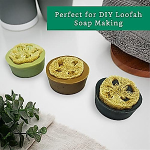 All Natural Loofah Slices for Soap Making (20 Pack) - Real Loofah Slices Cuts - Organic Loofah Bulk - Natural Loofah Sponge - Soap Making Supplies - Natural Luffa Organic Soap Making