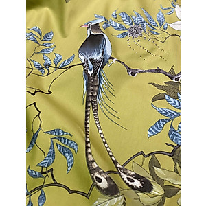 Exotic Modern Floral Print Bedding Birds Flowers Dusty Grey Design 100% Cotton Duvet Cover 3pc Set Hibiscus Blossom Branches in Muted Gray Blue (Queen, Citronelle Green)