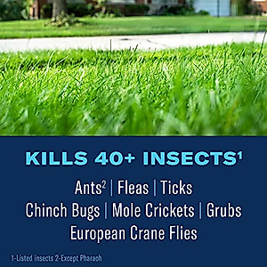 BioAdvanced Complete Brand Insect Killer for Lawns, Granules, 10 LB