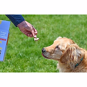 Mattie's Treats: 1 Pound Box; Low Protein, Low Phosphorus, Low Sodium Dog Treats