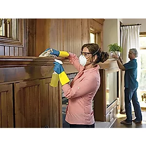 3M Home Dust Mask, Helps Provide Relief From Allergens, Pet Dander, And Other Non Harmful Airborne Particles, 5-Pack (8661PC1-A)