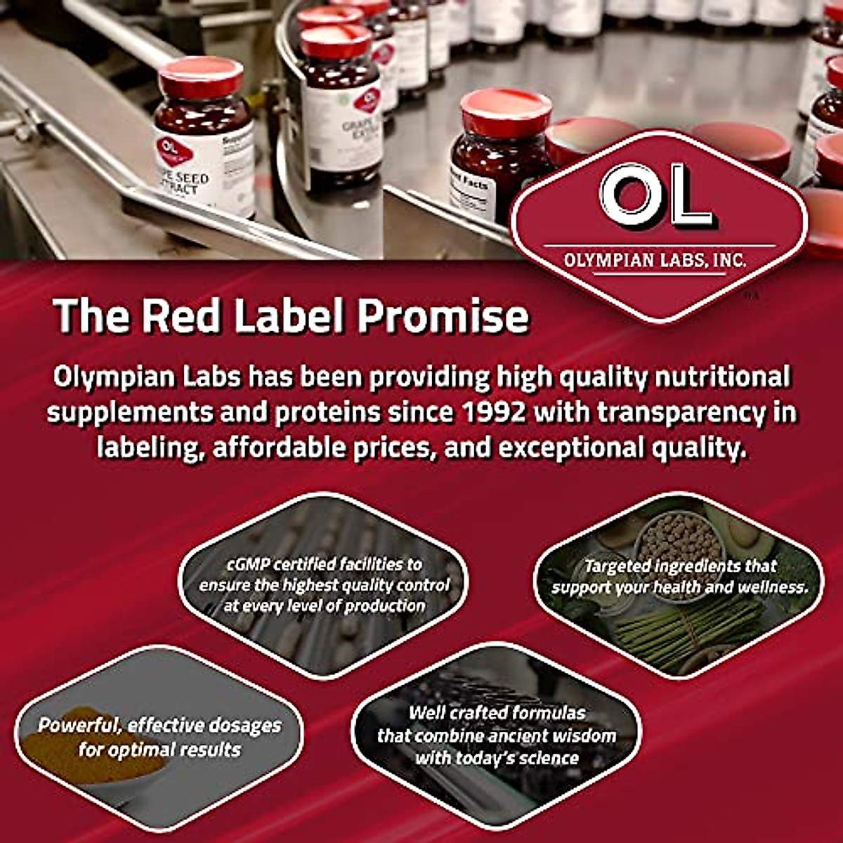 Olympian Labs PSN A-AKG Powder for Men's Health, Energy & Sports Nutrition Performance, 80 Servings, 240 Gram Jar