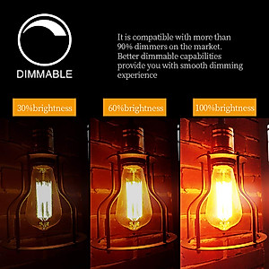 LUXON Edison Bulbs,Antique Vintage Style Incandescent Light Bulbs,Dimmable Amber Warm,60W E26 Base for Wall Sconce Pack of 2