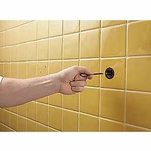 Moen SMA1005CH Home Care Securemount Anchor, 1 Anchor, Chrome