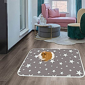 CNTOPKITER 4 Pack Guinea Pig Fleece Cage Liners, Super Absorbent, Reusable, Washable Guinea Pig Pee Pads Bedding for Hamsters Rabbits Chinchilla Gerbil Hedgehog Rat and Other Small Animal