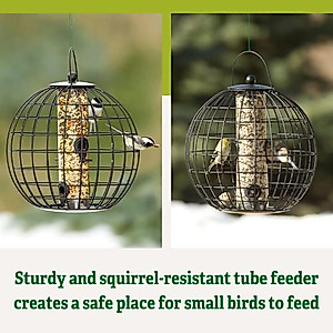 Gardeners Supply Company Globe Cage Bird Feeder | Sturdy and Squirrel Proof Outdoor Garden Hanging Hummingbird Feeder with Mixed Seeds Container | Best for Finches Nuthatches and Other Small Birds