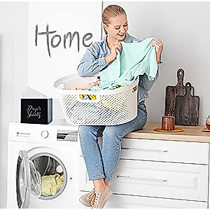 Boathouse Design Rustic Farmhouse Dryer Sheet Holder for Laundry Room Decor – Decorations & Organization – Laundry Dispenser – Cute Home Laundry Room Décor – Metal Dryer Sheet Bin - Black (Black)