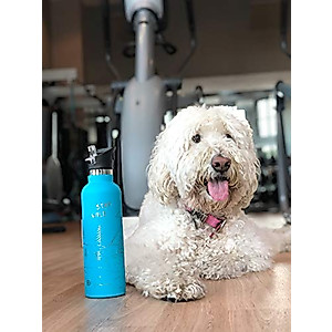 Involve & Evolve Insulated Water Bottle with 3 Lids (Straw Lid) Kids Reusable Double Walled Stainless Steel Flask Metal Stay Wild Thermos 12oz 17oz 20oz 25oz (17 oz, Engraved Blue)