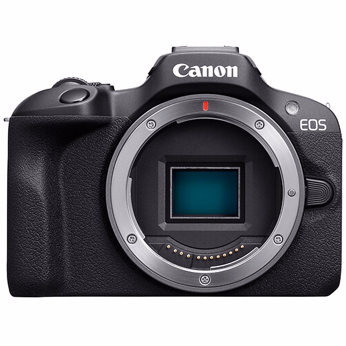 Canon EOS R100 Mirrorless Camera with 18-150mm Lens + 64GB Memory Card, Case, Hood, Grip-Pod, Filter Professional Photo Bundle (Renewed)