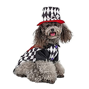 Mogoko Magician Dog Costumes, Pet Halloween Cosplay Jumpsuit with Hat, Adorable Magician Costume, Apparels Warm Outfits Clothes